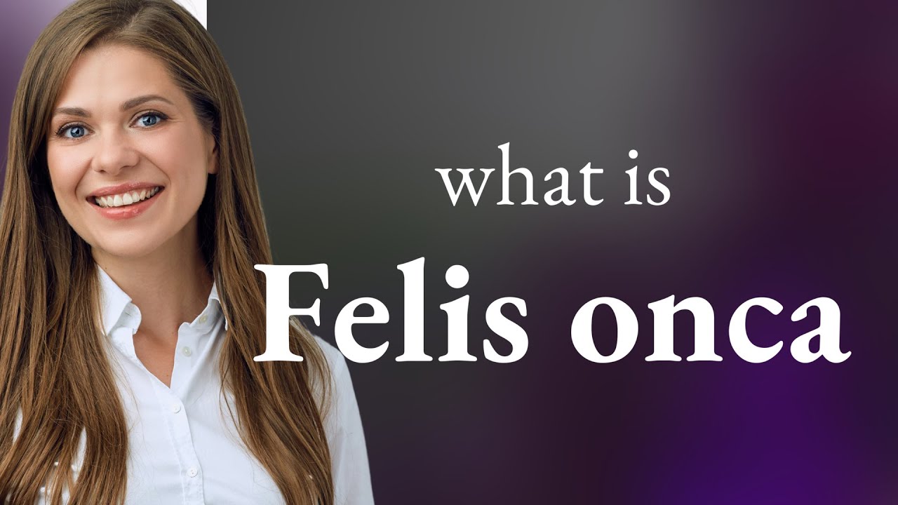 Felis Onca What Is FELIS ONCA Meaning YouTube felis-onca-what-is-felis-onca-meaning-youtube