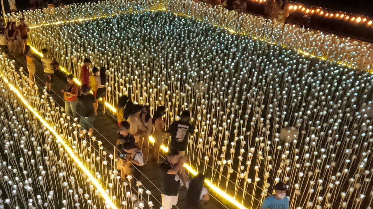 NIGHT TOUR in 10,000 ROSES in CORDOVA,CEBU,PHILIPPINES - YouTube