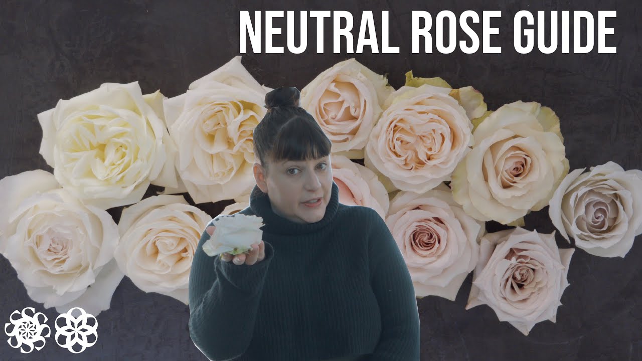 Neutral Rose Reference Guide-All the Wedding Roses - YouTube
