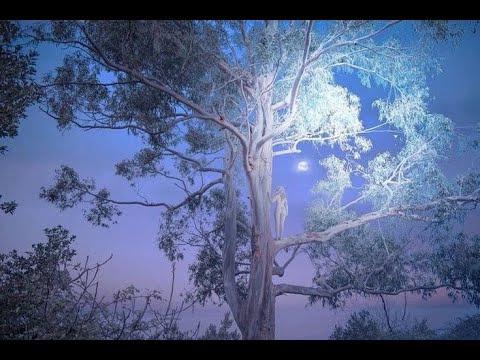 mage tears - YouTube