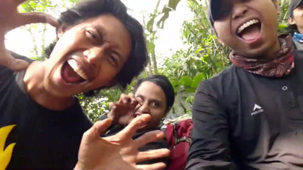 Perjalanan Mendaki Puncak Gunung Sumbul - YouTube