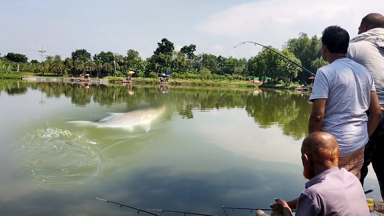 Katla fish catching by hook || katla machhali pakadne ka chara ...