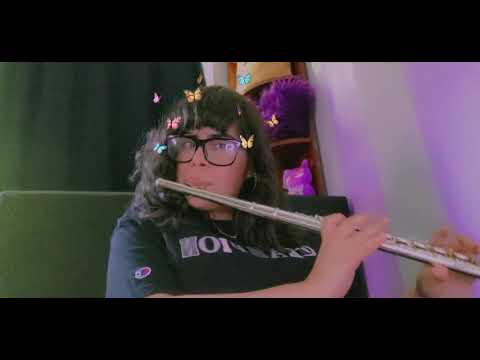 Pity Party - Melanie Martinez Flute Cover - YouTube