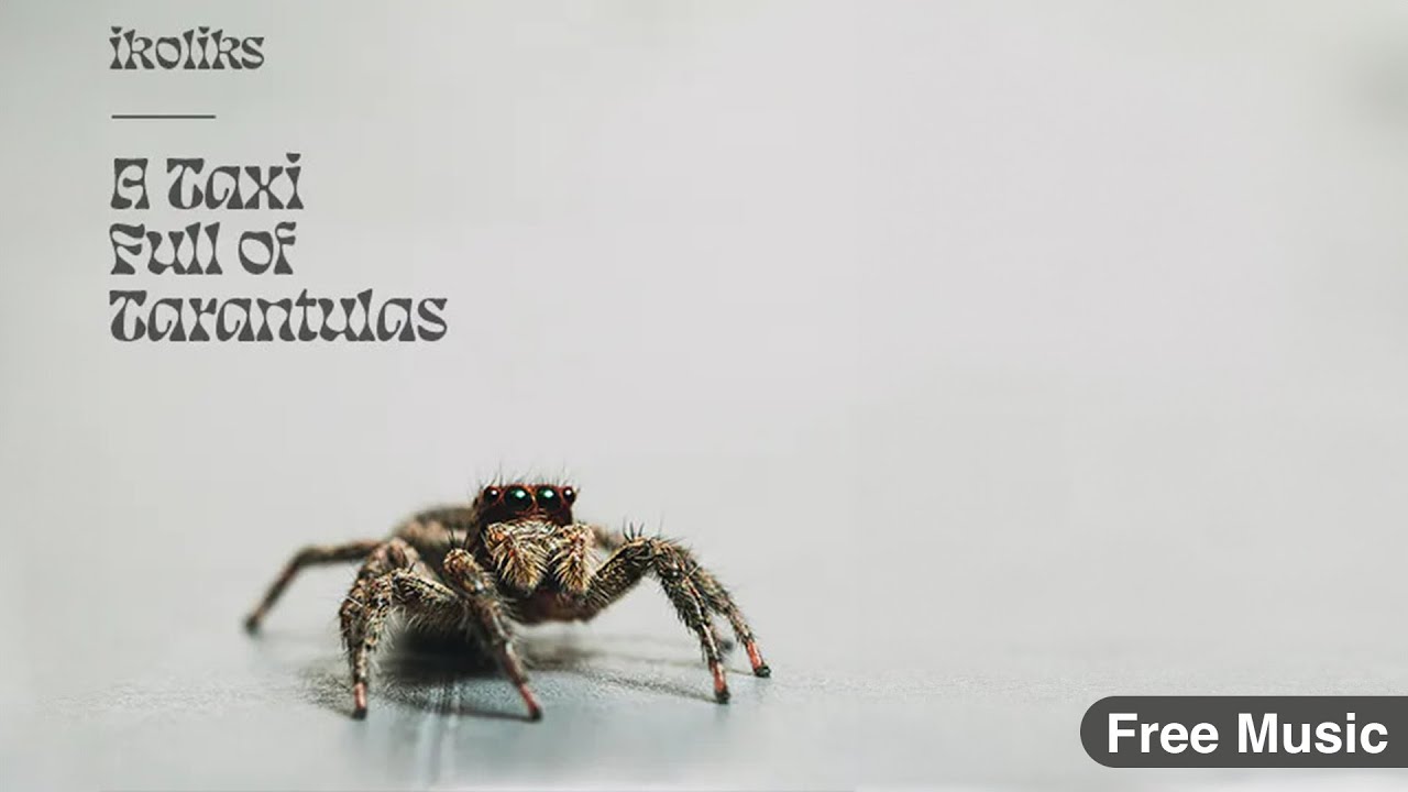 A Taxi Full of Tarantulas - Song by Ikoliks (No Copyright Music) - YouTube
