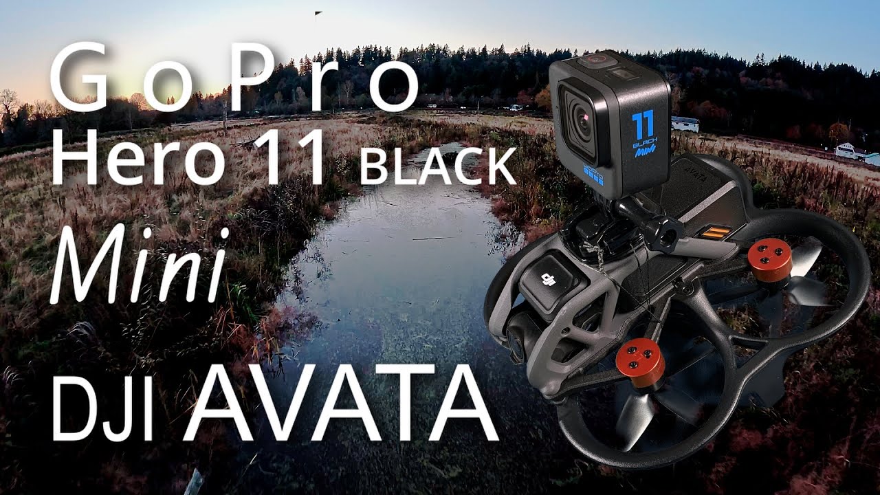 DJI AVATA FPV and GoPro Hero 11 Mini: Setup & First Impression - YouTube