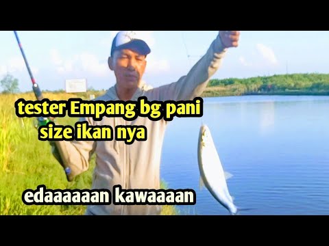 dibuka Empang bg.pani Minggu 07 Juli 2024 tiket 130k ful ikan bandeng ...
