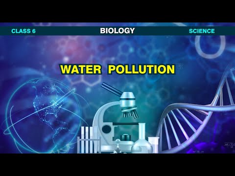 Water Pollution | Causes and Effects of Water Pollution | Kids Learning ...