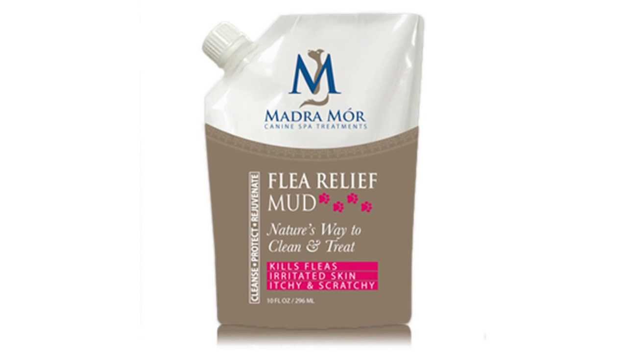 Madra Mor (Flea Relief Mud) - YouTube