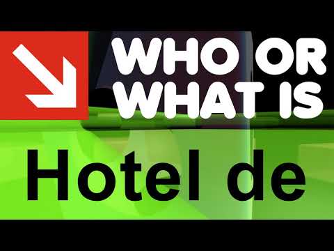 Who or What is Hotel de Love?
