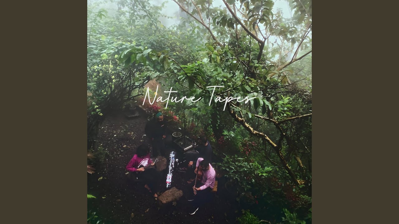 Ocean Tide (Nature Tapes) - YouTube