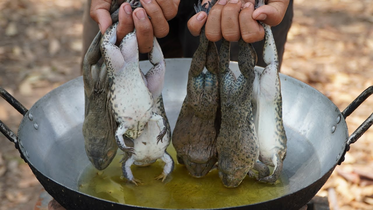 Field Frog Mango Recipe | Deep Fried Frog Recipe - YouTube
