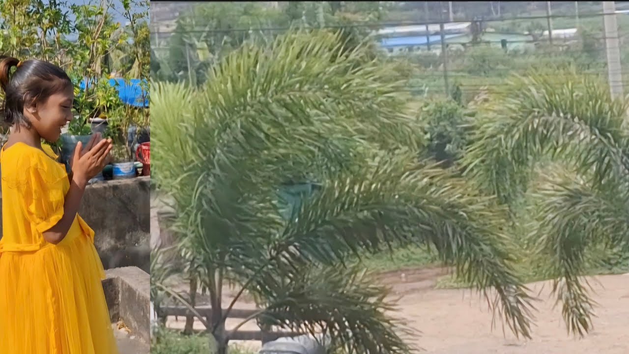 Beauty of nature through the eyes of a child | Natural beauty of ...