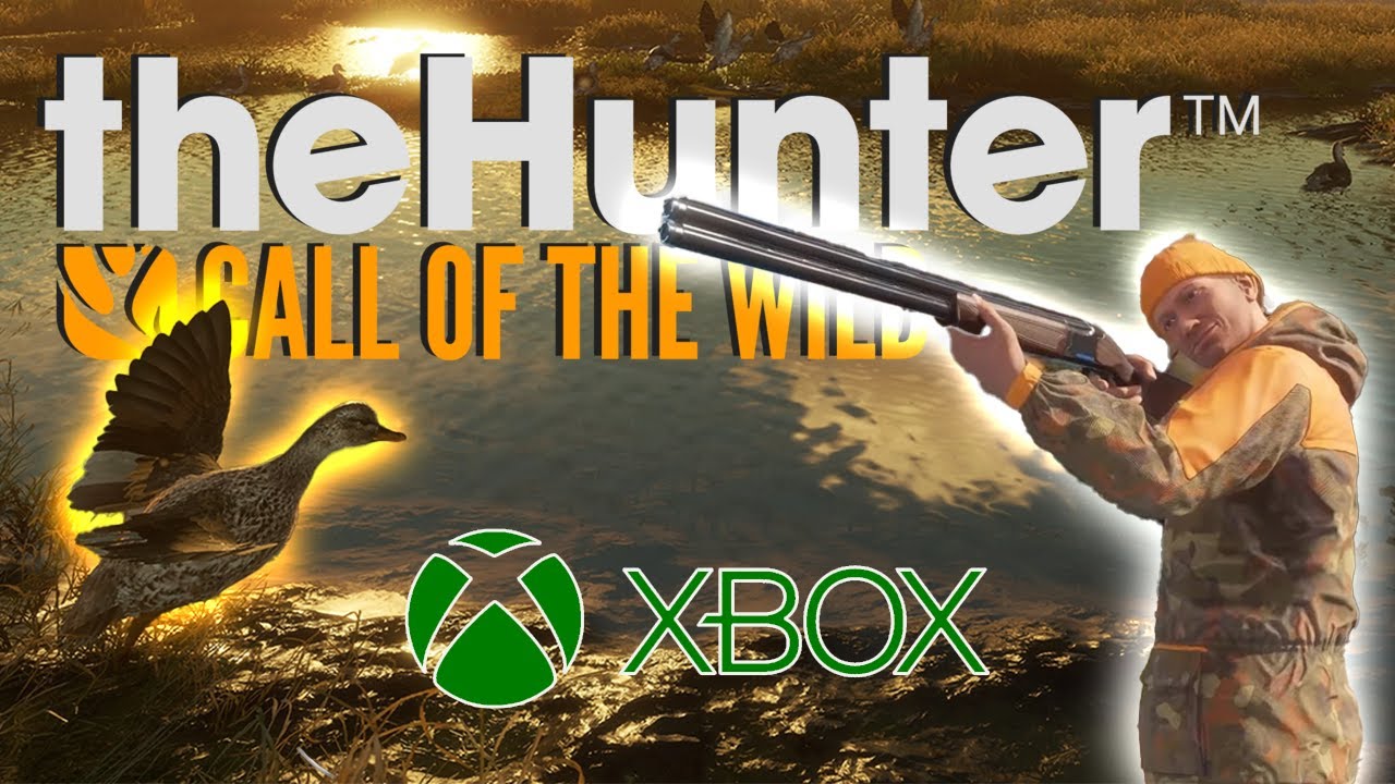 Bird Hunting on Console - theHunter: Call of the Wild - YouTube