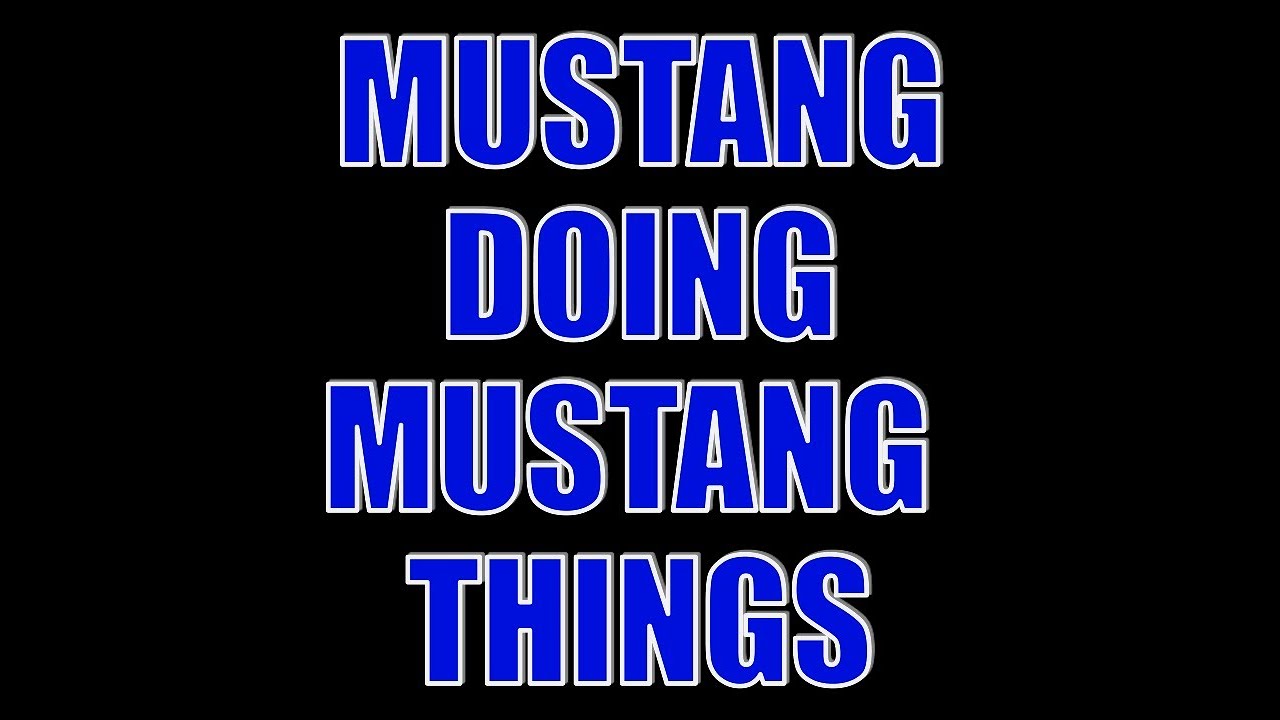 MUSTANG DOING MUSTANG THINGS - YouTube
