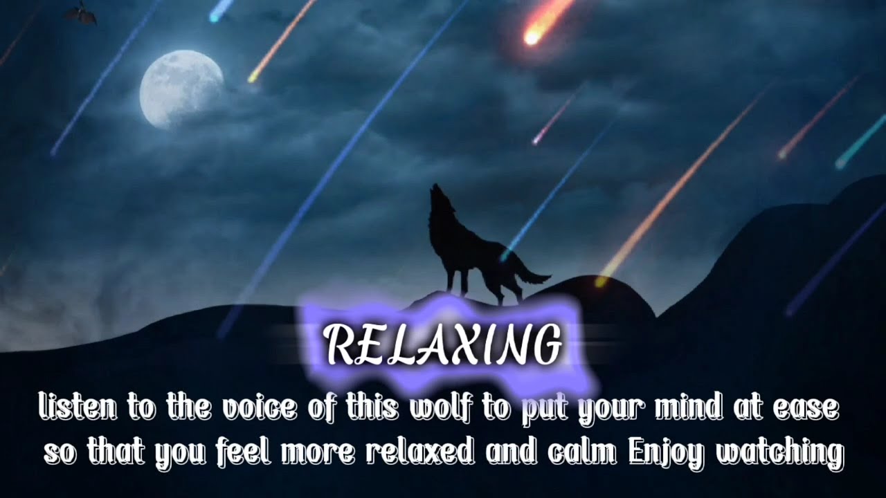 VIDEO RELAXING WOLF SOUND - YouTube