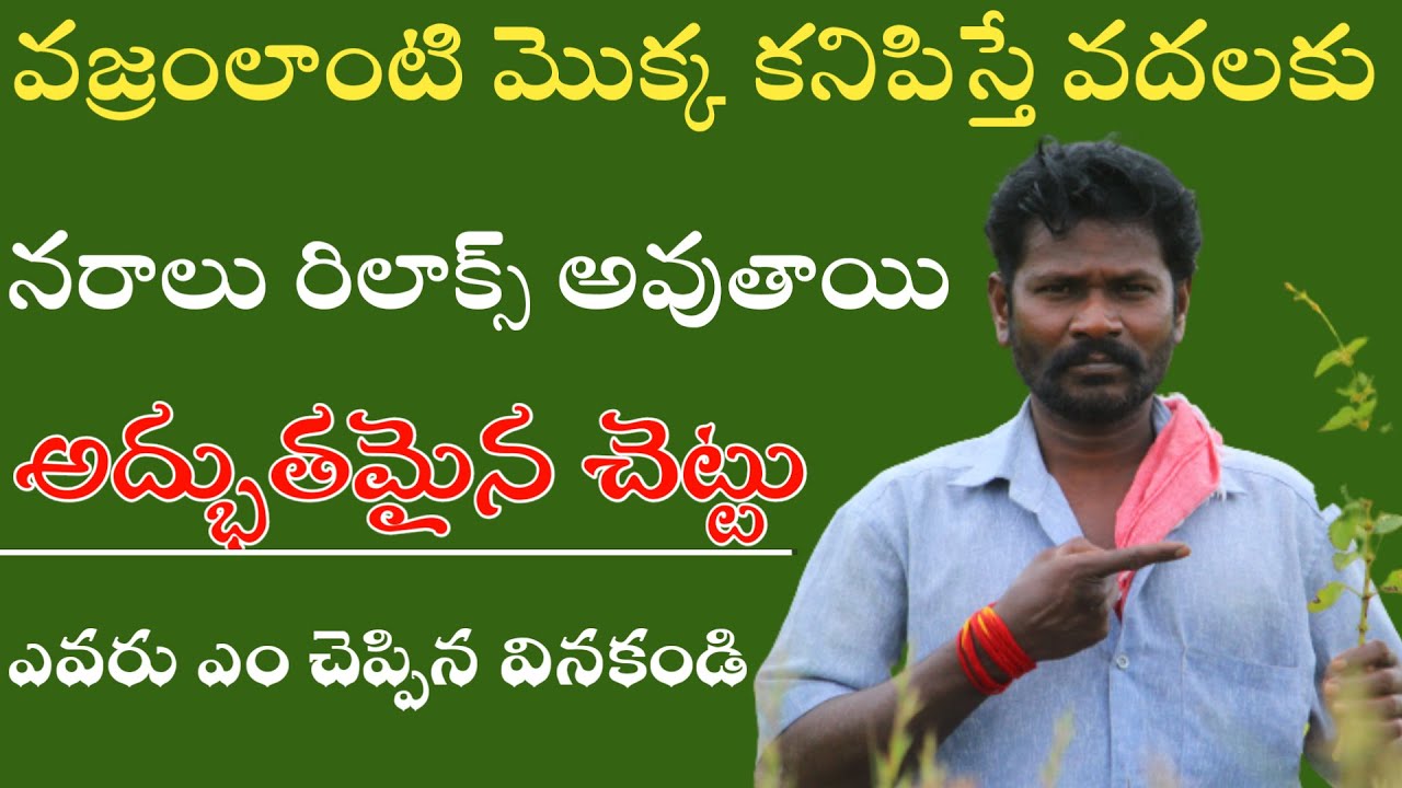 all ap ayurvedam Powerfull Health Tips in Telugu Ayurvedam - YouTube