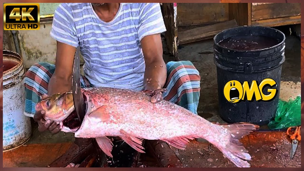 🐋 fish cutting🔪 Best Amazing Fish Cutting 🐟 Big Rui Fish Cutting || 4K ...