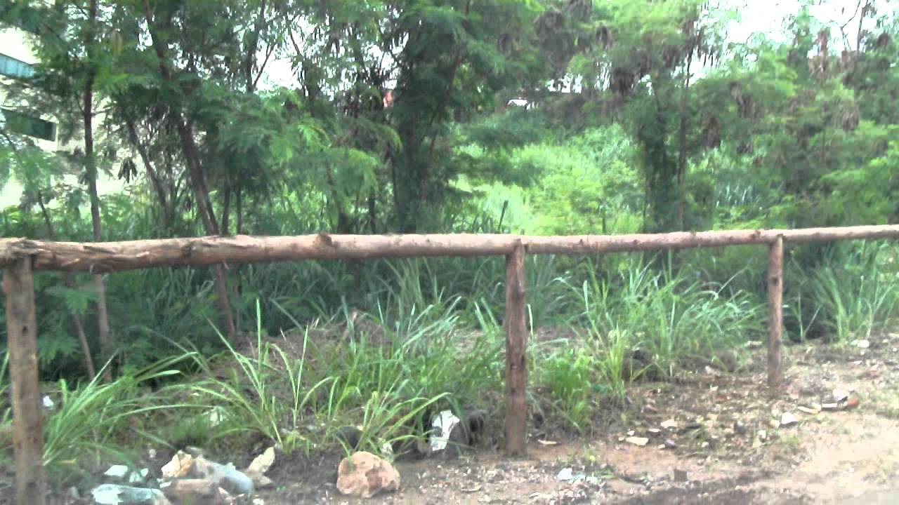 Stepway off road - YouTube