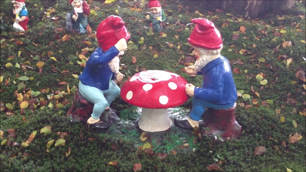 The Gnome Reserve & Wild Flower Garden, West Putford, Devon 2017 - YouTube