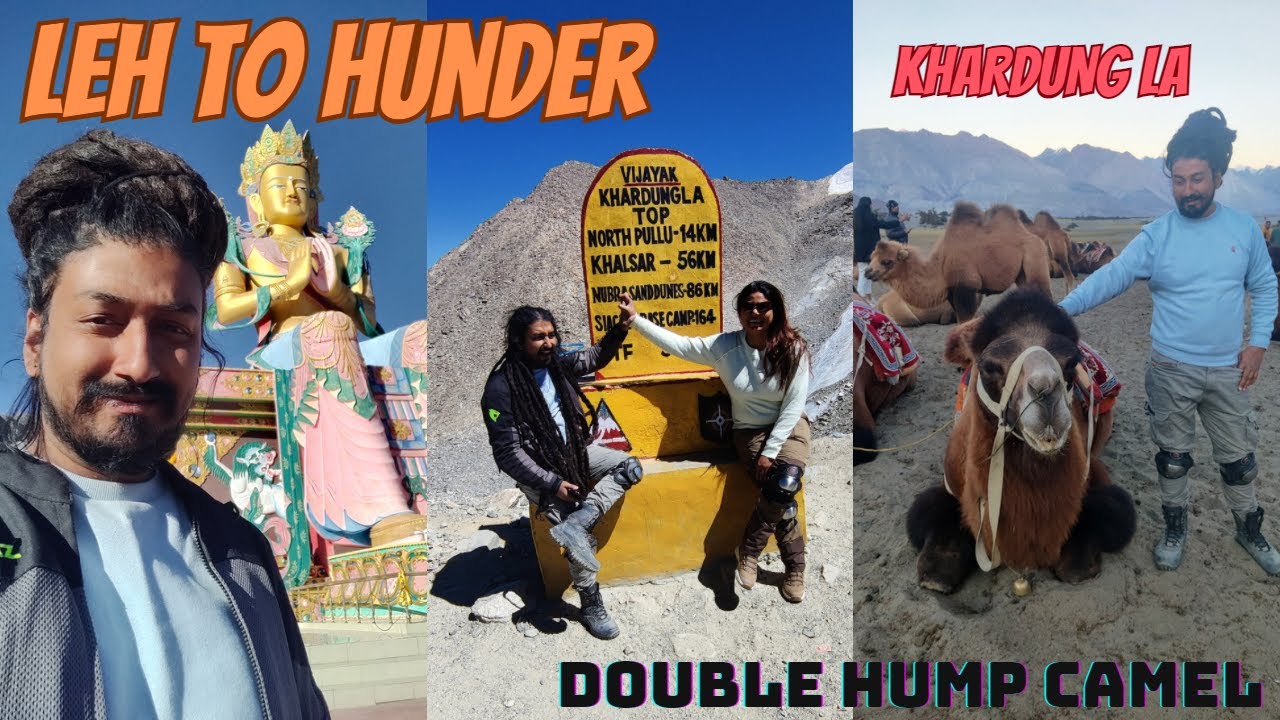 Leh to Hunder | Unveiling Ladakh's Majestic Double Hump Camels and ...