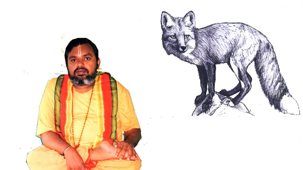 Nari kathai Tamil Story - நரி கதை தமிழ் - YouTube