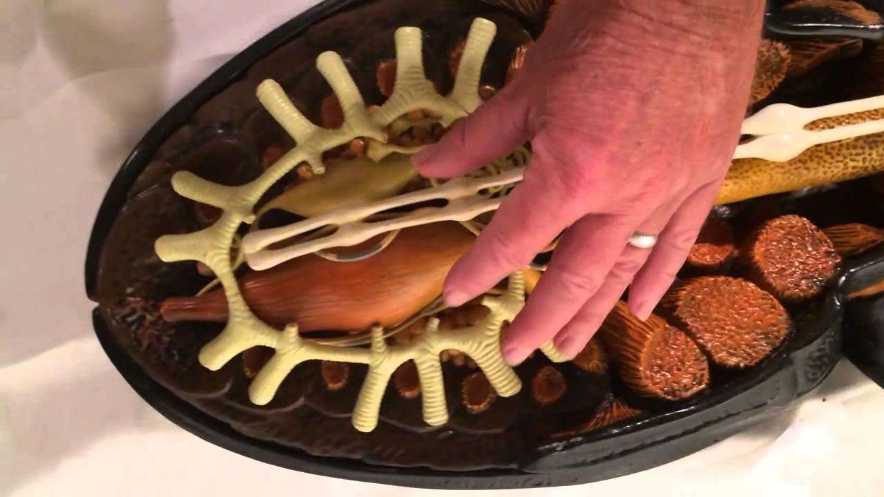 Stag Beetle Dissection Model - YouTube