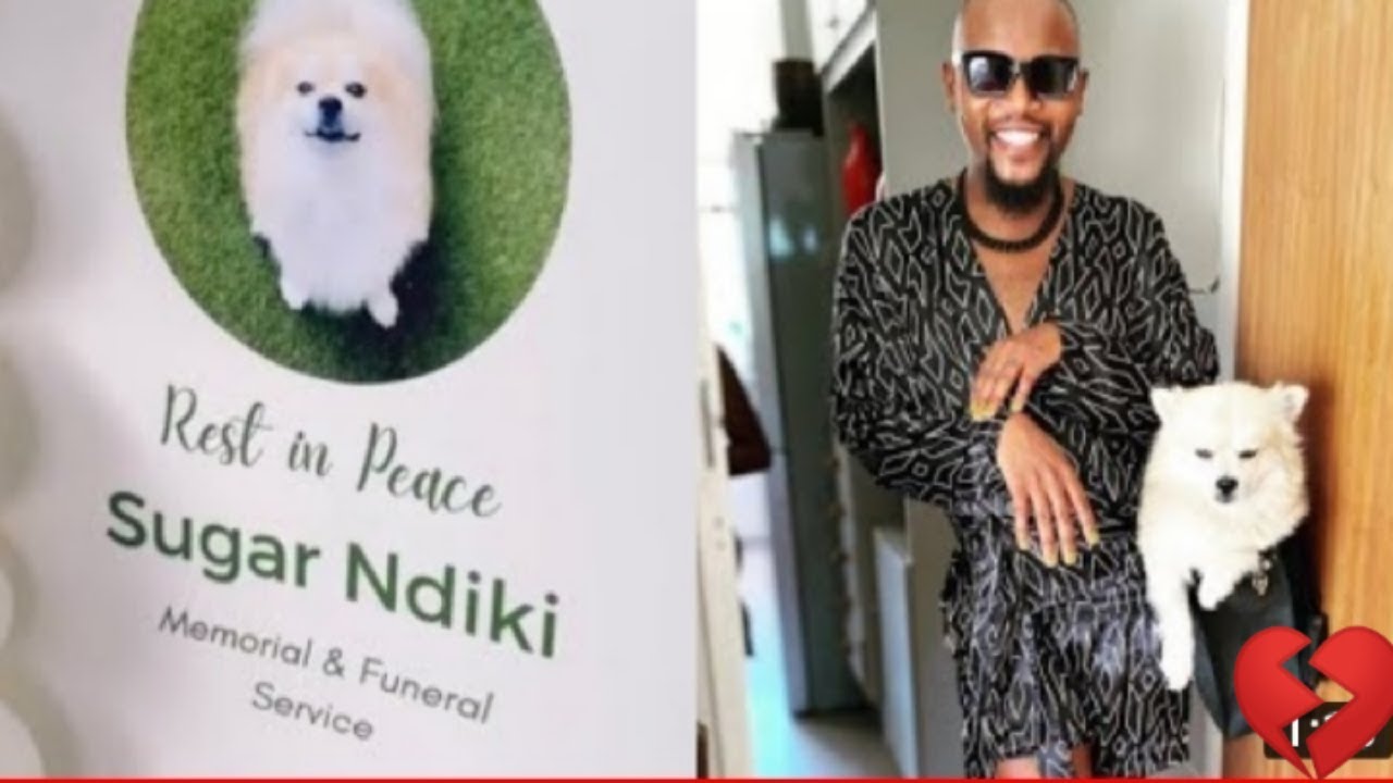 Moshe Ndiki Throws a lavish funeral service for his dog Sugar # ...