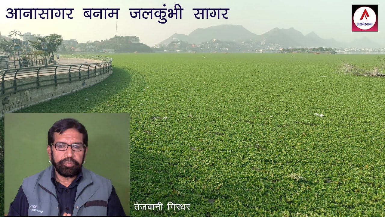 #ajmer#aanasagar#jalkumbhi/आनासागर बनाम जलकुंभी सागर - YouTube