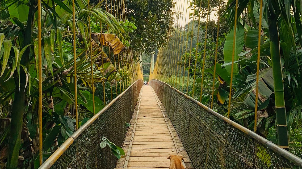 Kalasa Hanging Bridge | EP 04 | Chikmagalur | Solo Adventure | - YouTube