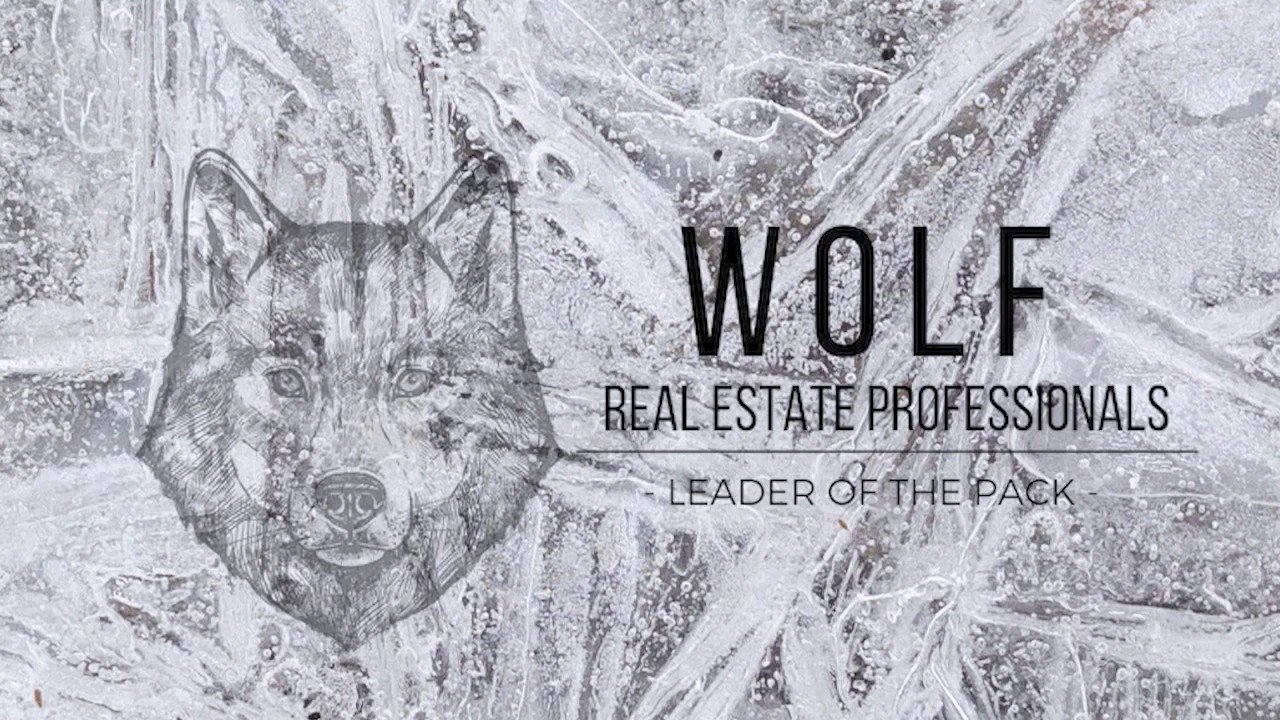 WOLF REAL ESTATE PROFESSIONALS - YouTube