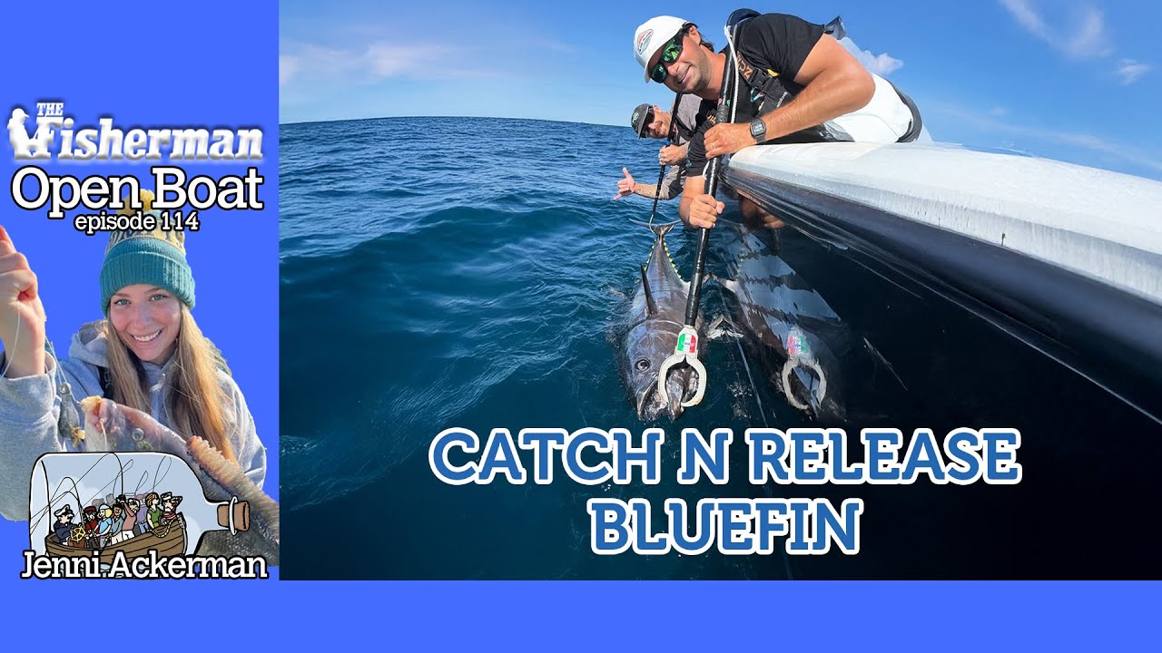 Catch N Release Bluefin ep. 114 - YouTube