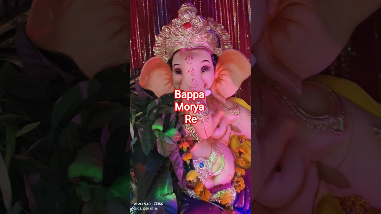Bappa Morya Re #video #shortvideo #youtubeshorts #song #love #video ...