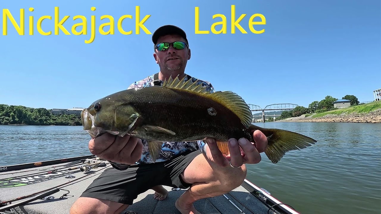 Nickajack Lake Summer bass fishing/I almost left before this happened ...