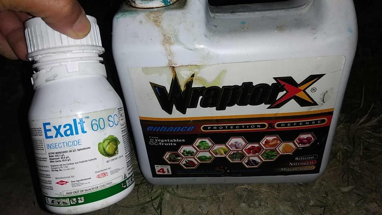 Mag-apply exalt insecticide wraptor X - YouTube