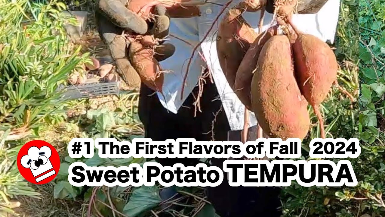 [How to Make] Sweet Potato TEMPURA, the First Flavors of Fall 2024 ...