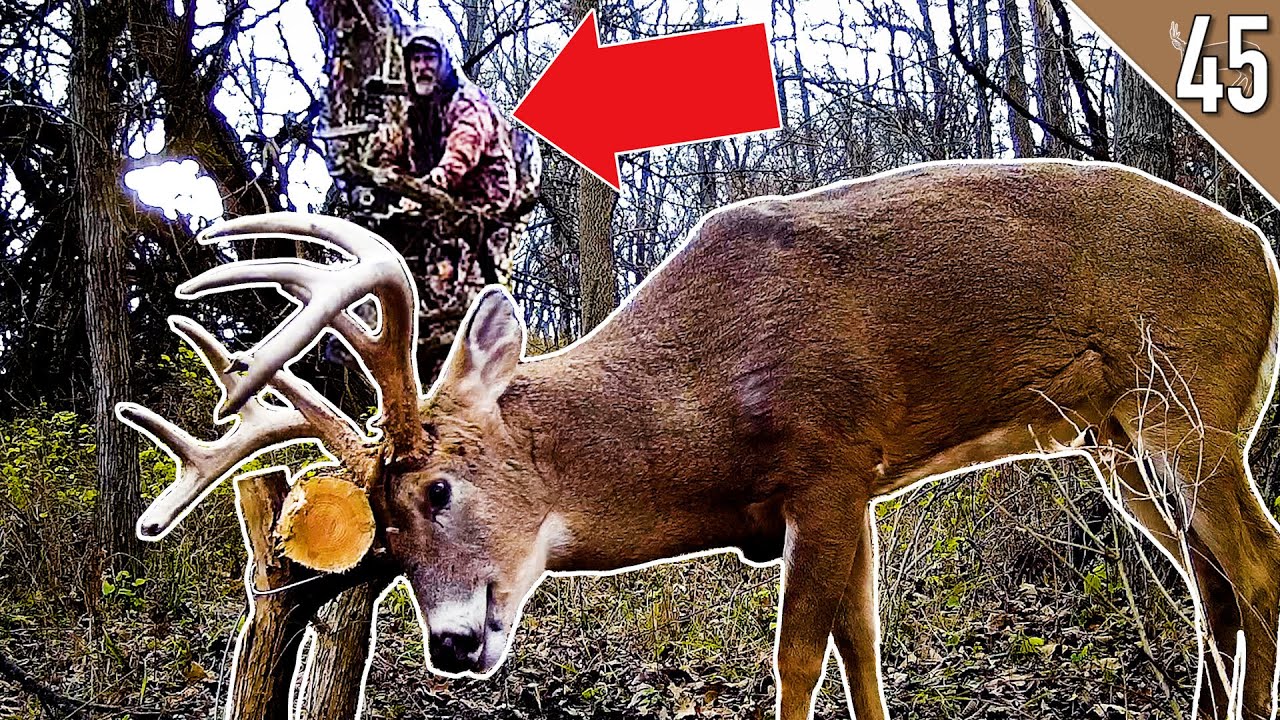 Bowhunting a MASSIVE BUCK!!! (Ted Miller's CRAZY Buck Footage!) - YouTube