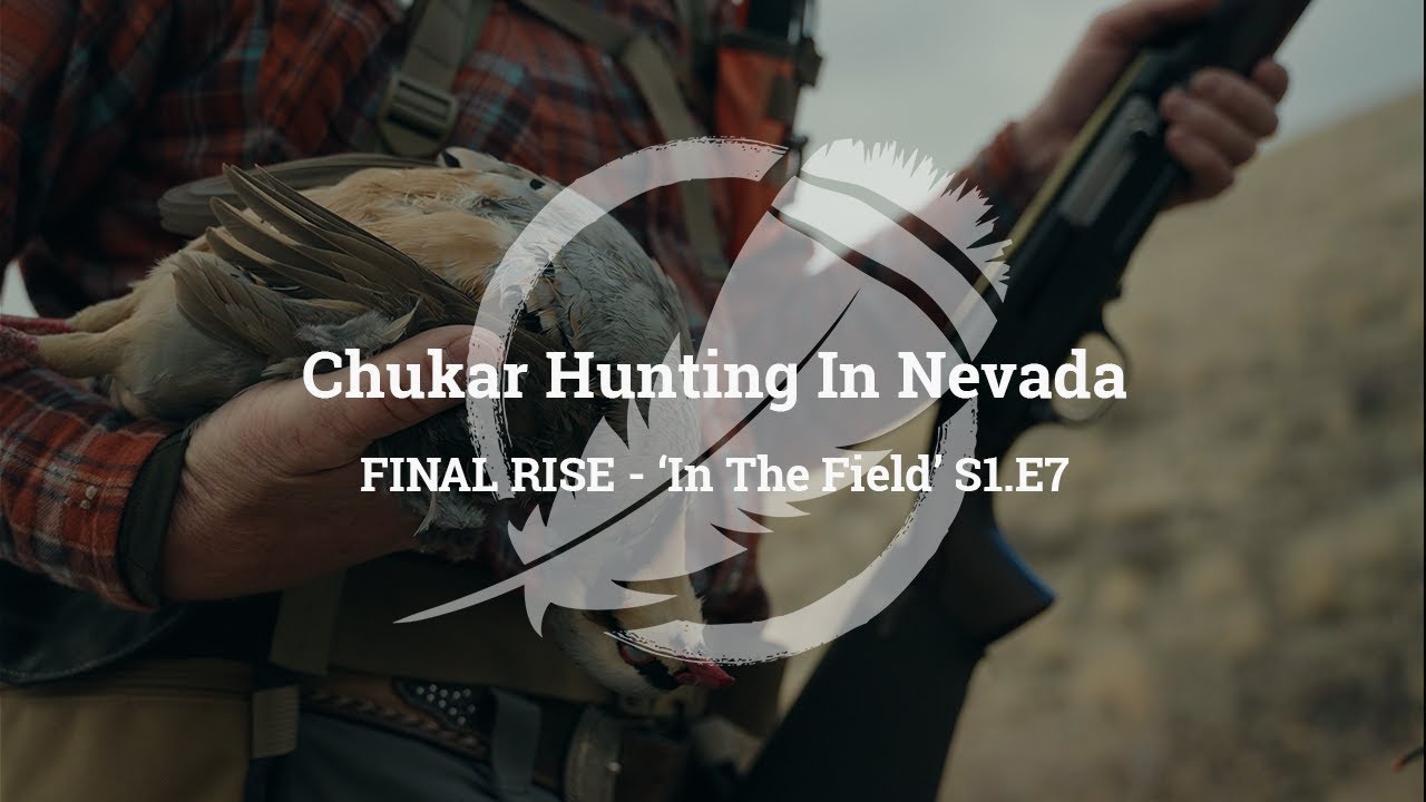 Chukar Hunting in Nevada - FINAL RISE 'In The Field' S1.E7 - YouTube