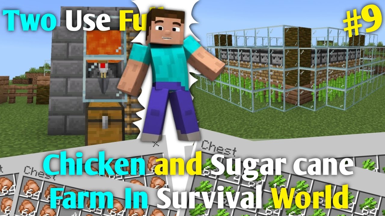 Minecraft Chicken And Sugar Cane Farm 1.21+ (PE And Java) Episode 9 ...