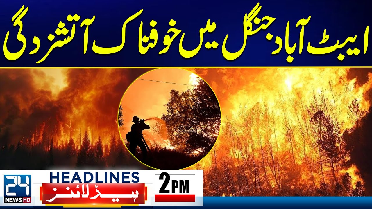 Massive Fire Erupt in Abbottabad Forest - By Election 2025 Result ...