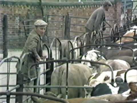 Cattle Market in Newark-on-Trent June 1988 part two - YouTube