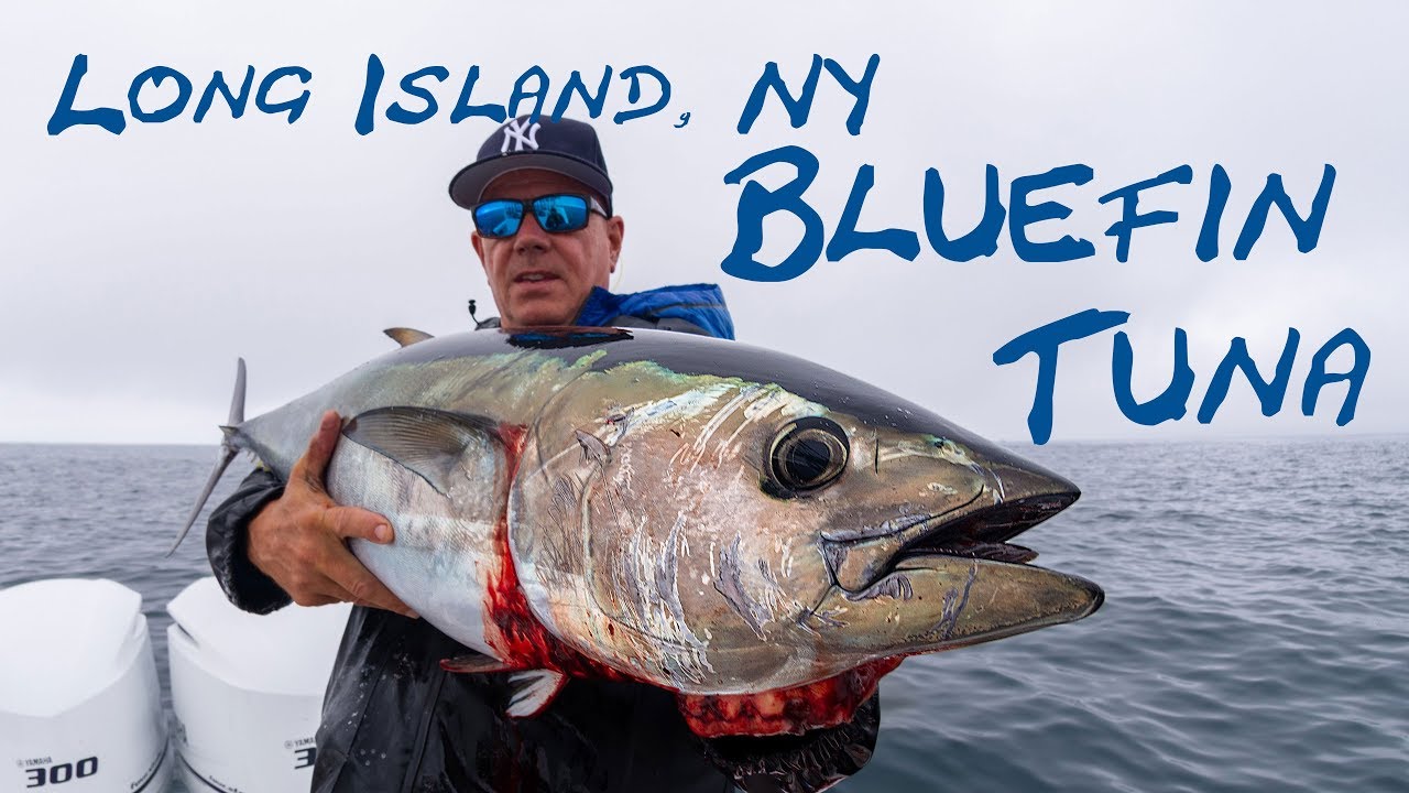 Bluefin Tuna Fishing Long Island, NY Video - YouTube