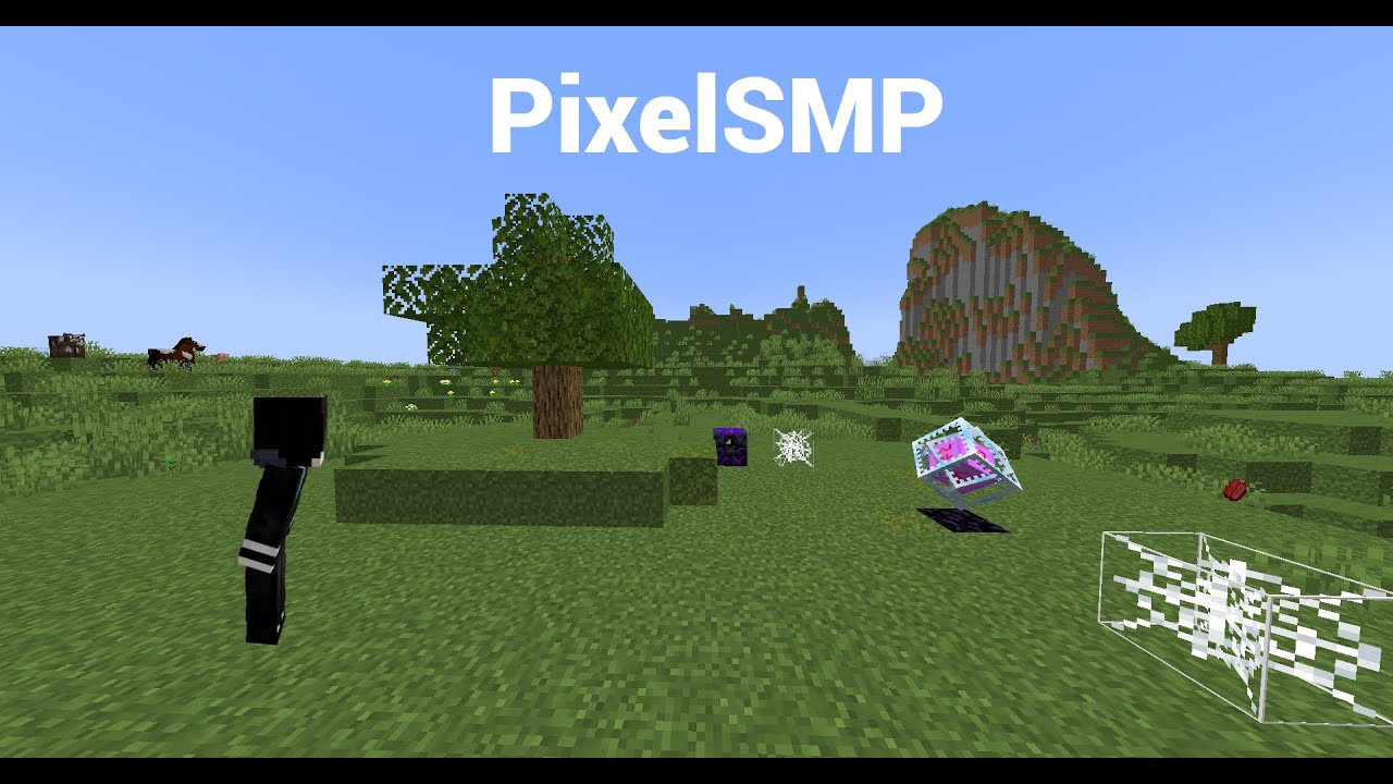 Pixel SMP - YouTube