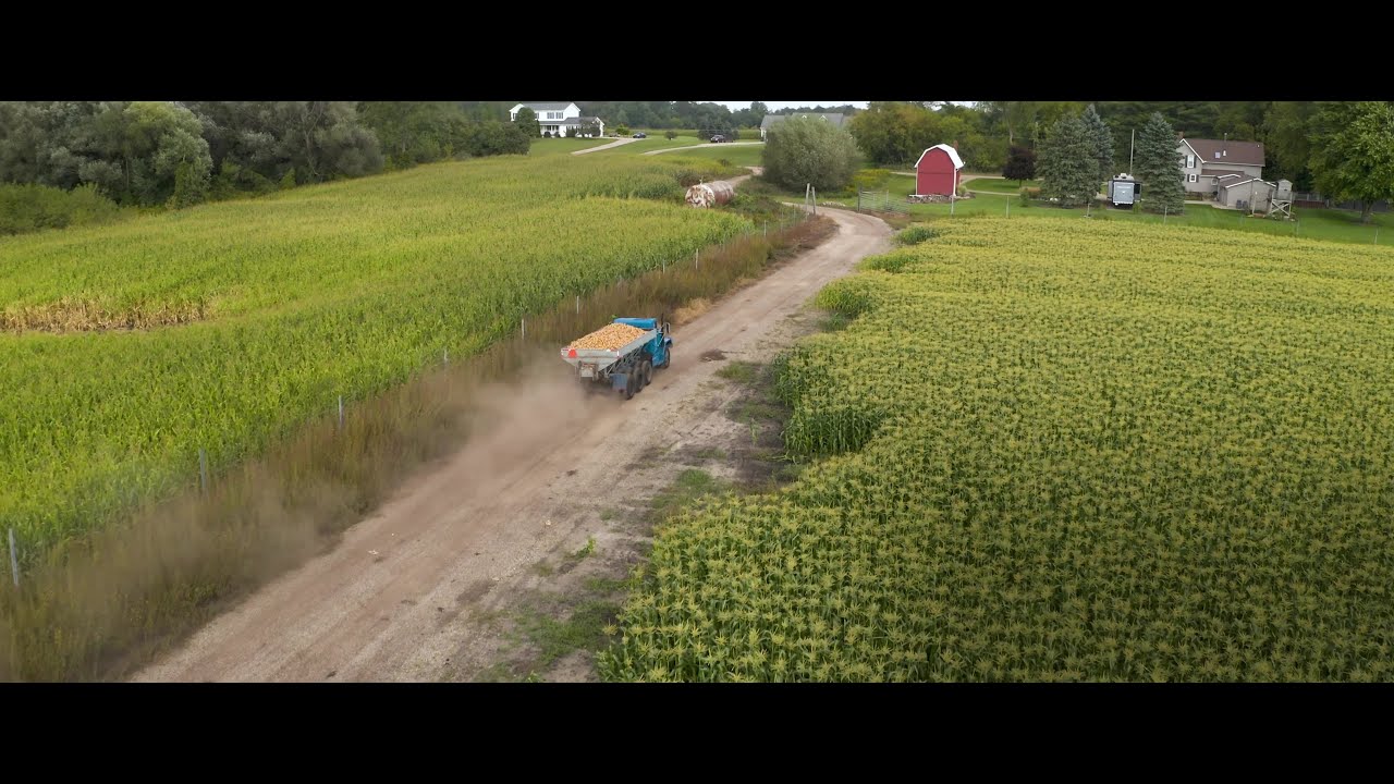 Brand Awareness Video | Tygrus - YouTube