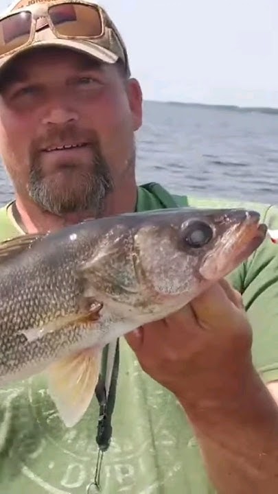 Jigging Up A Nice Walleye! - YouTube