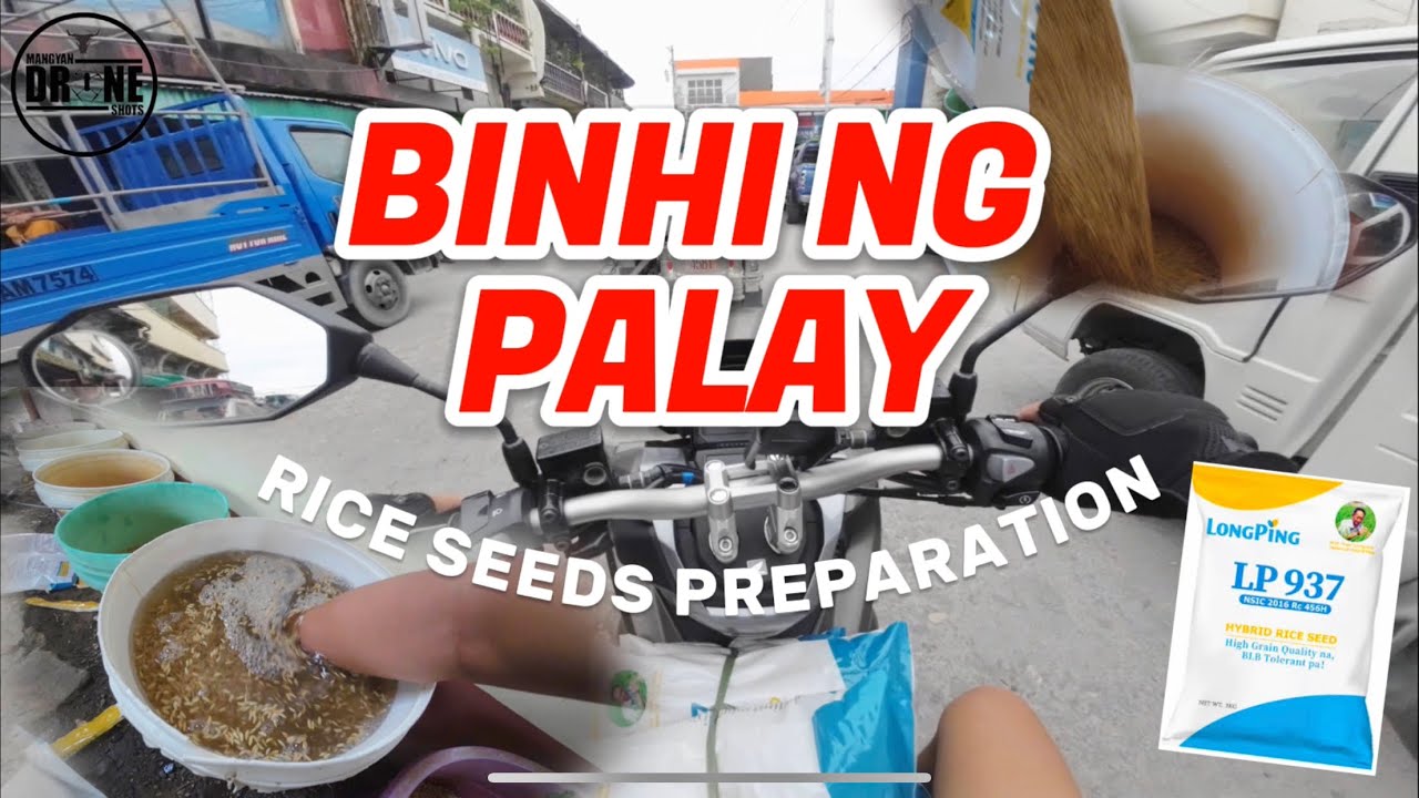 BILI TAYO NG BINHI NG PALAY || RICE SEEDS PREPARATION #ricefarmer # ...