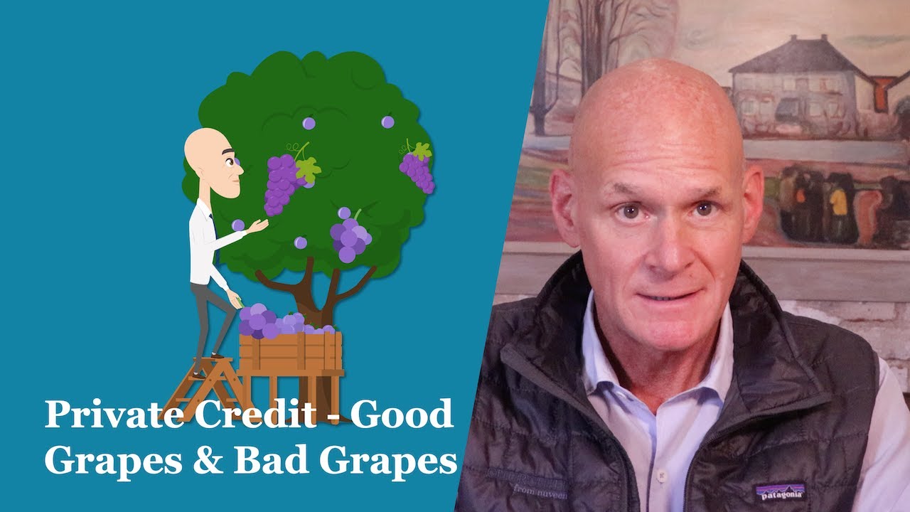 Private Credit - Good Grapes and Bad Grapes - YouTube