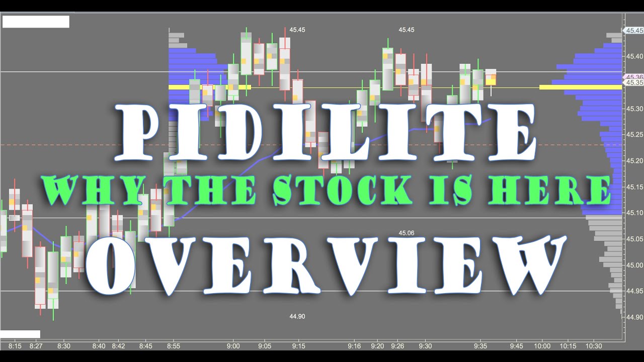 125 PIDILITE INDUSTRIES LTD UPCOMING OVERVIEW || HOW TO EARN FROM ...