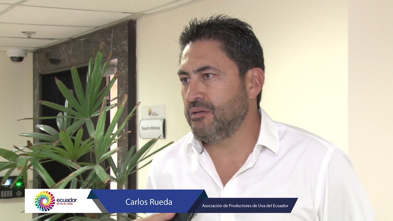 Carlos Rueda- Pdte Asociación de Productores de Uva del Ecuador - YouTube