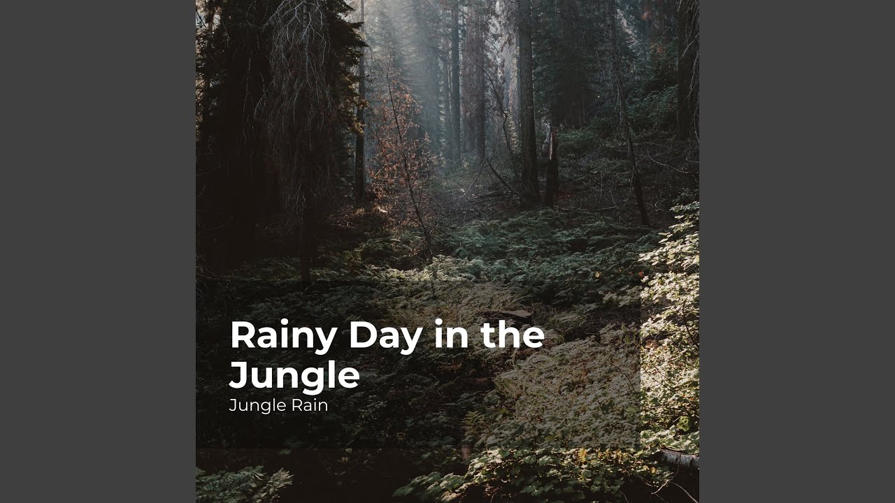 Jungle Windy Day - YouTube
