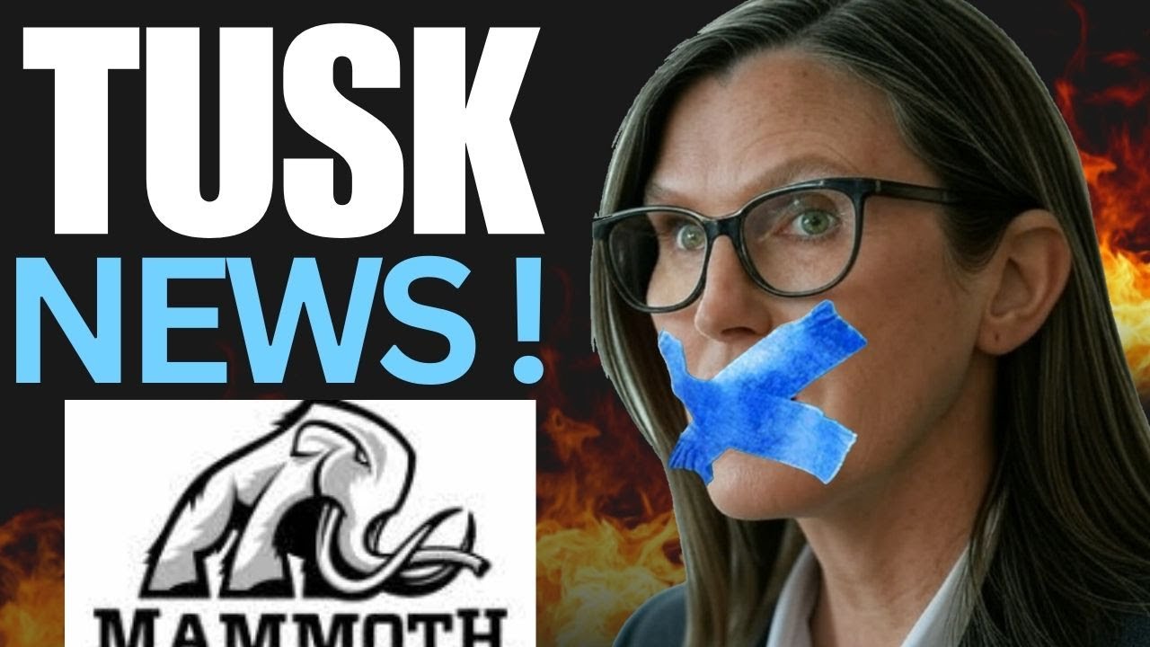 TUSK Stock (Mammoth Energy Services stock) TUSK STOCK analysis TUSK ...